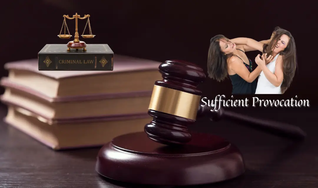 Breaking Down Sufficient Provocation Understanding The Legal